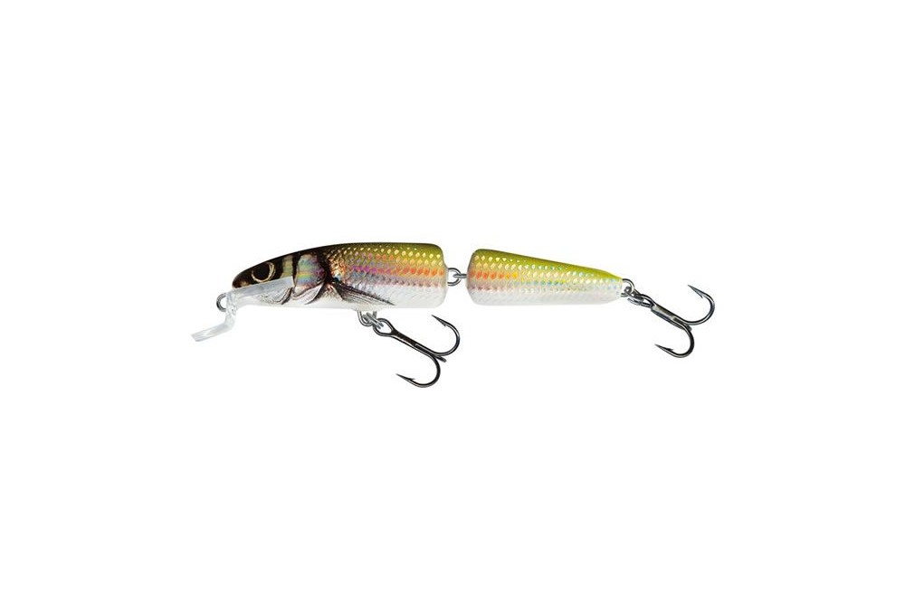 Salmo Lures