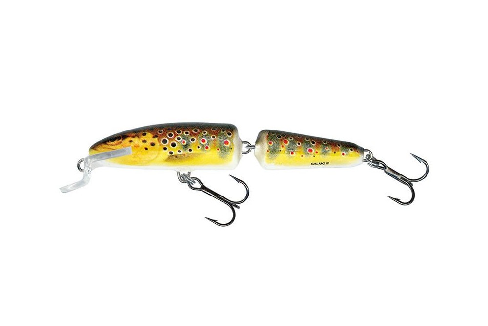 Salmo Lures